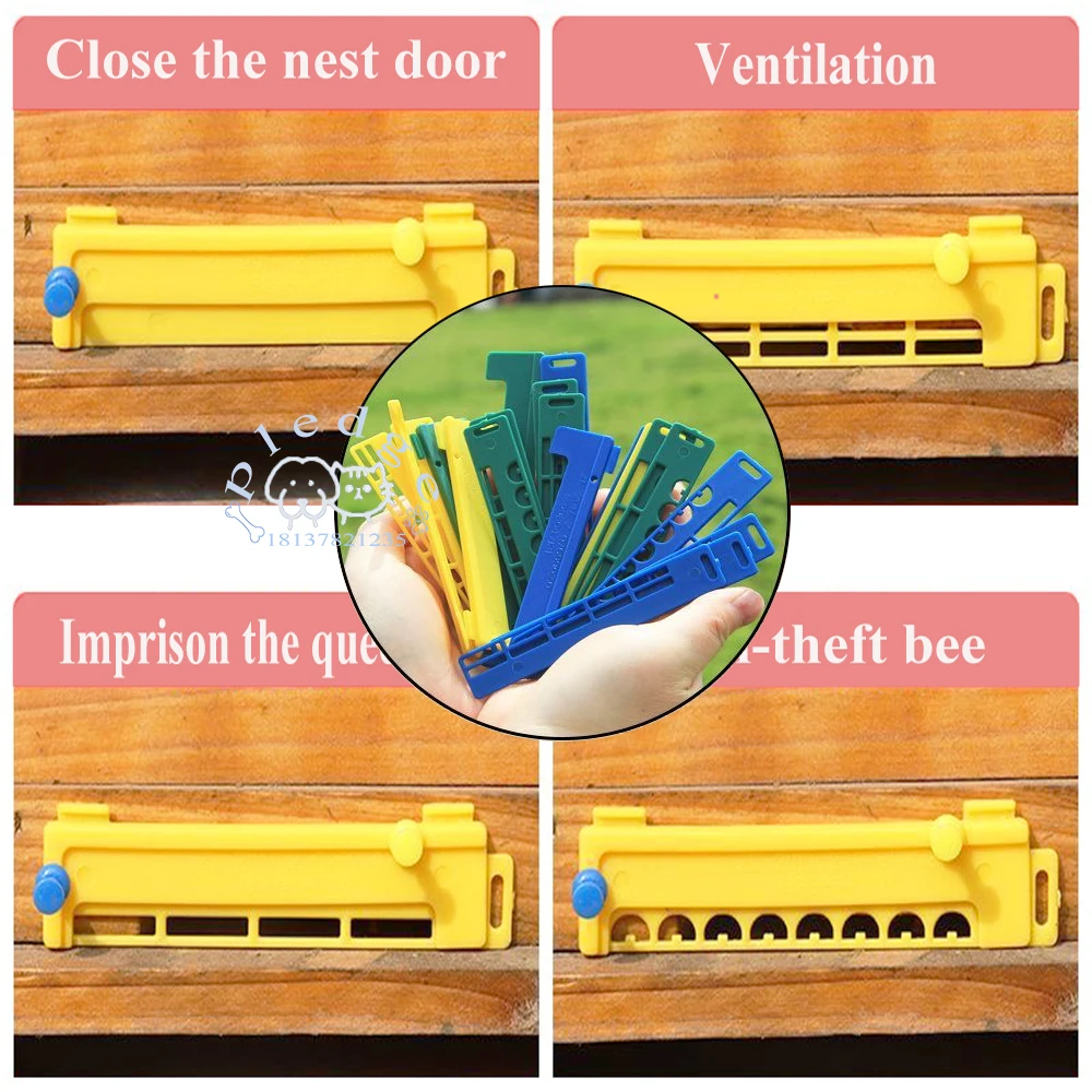 5Set New Design Small Size Bees(shape like chinese bees)Queen Reducer ...