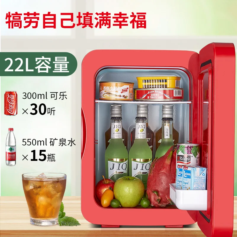 Modern Mini Fridge