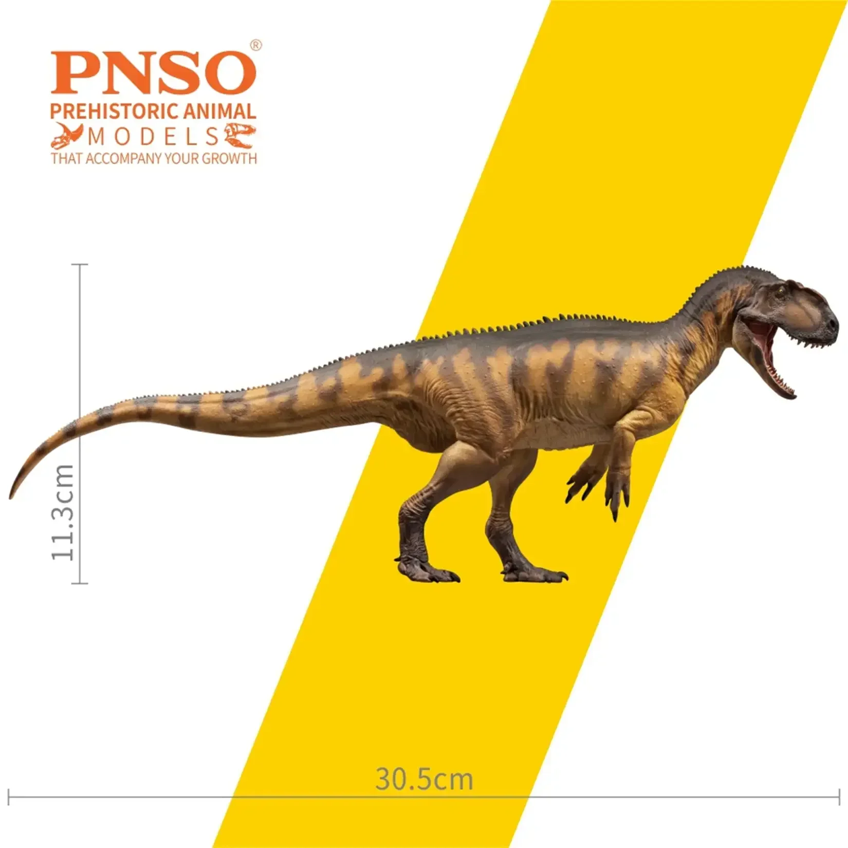 PNSO-76-Yangchuanosaurus-Magnus-Dapeng-Theropoda-Sinraptoridae-GK.jpg