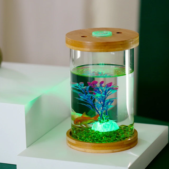 Diy Betta Fish Tanks