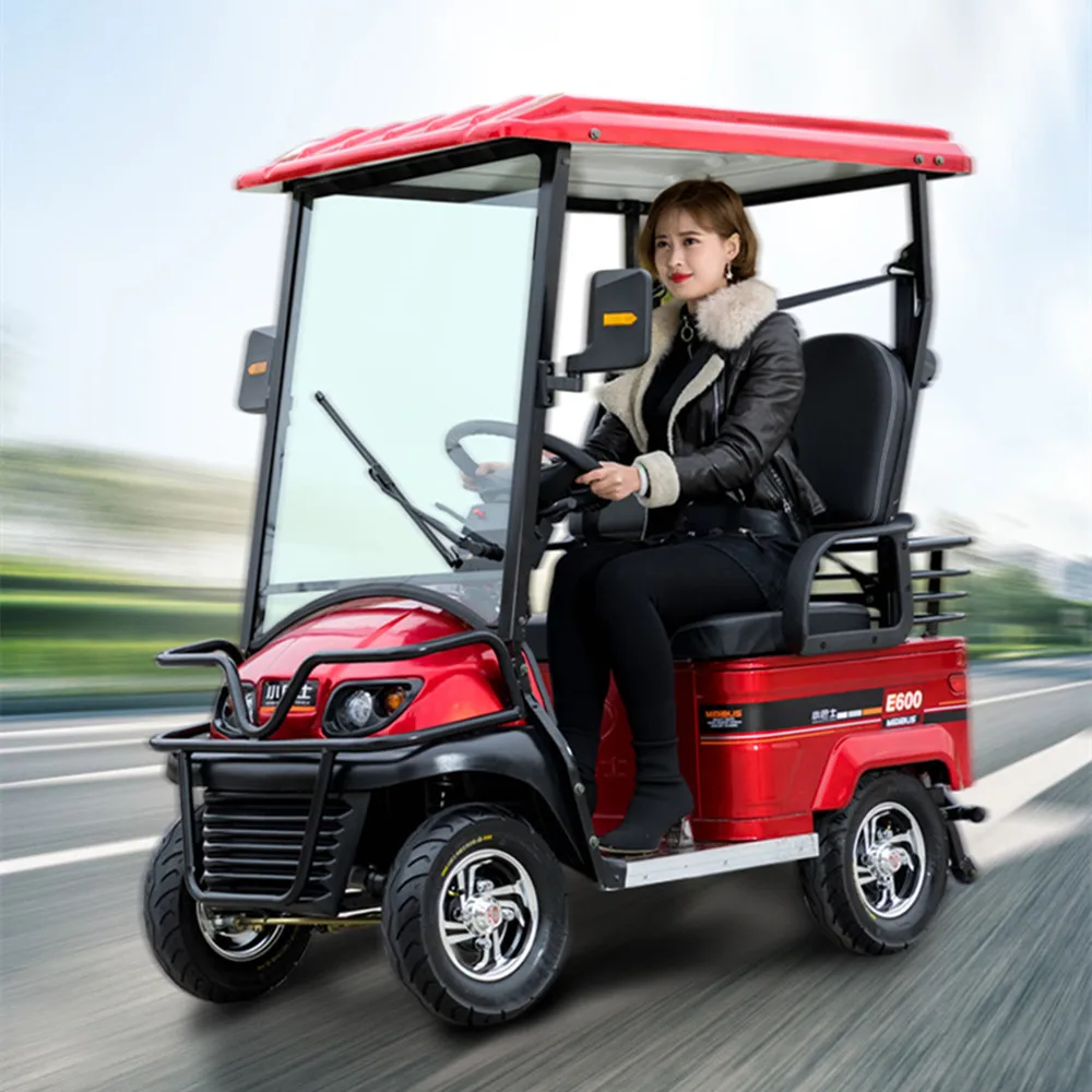 New 2 3 4 Seat Mini Bus Electric Four Wheeler With Roof Scenic ...