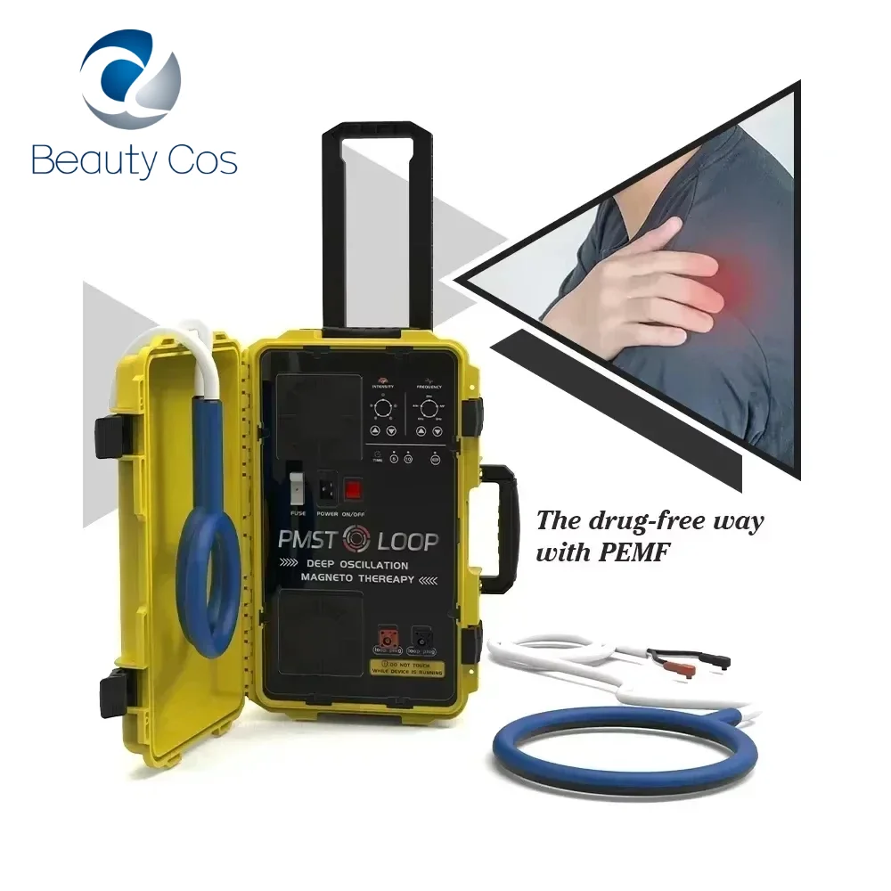 PEMF Magnetic Pulse Therapy Physiomagneto PMST Loop Pain Relief Body ...