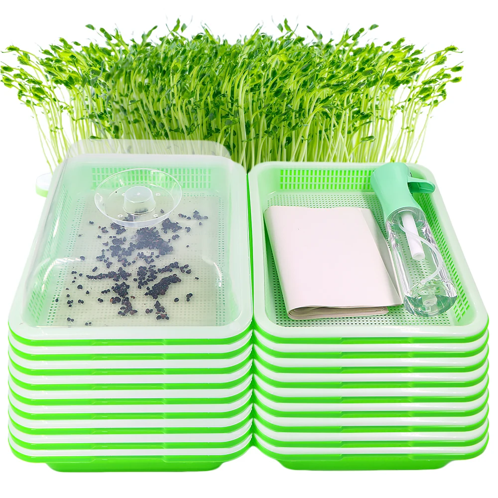 1pcs-Seedling-Trays-Germination-Box-Transparent-Cover-Nursery-Seedling ...