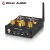 Douk Audio P1 Hifi Jan 5654 Vacuum Tube Voorversterker Bluetooth 5.0 Audio ontvanger Usb Dac ...
