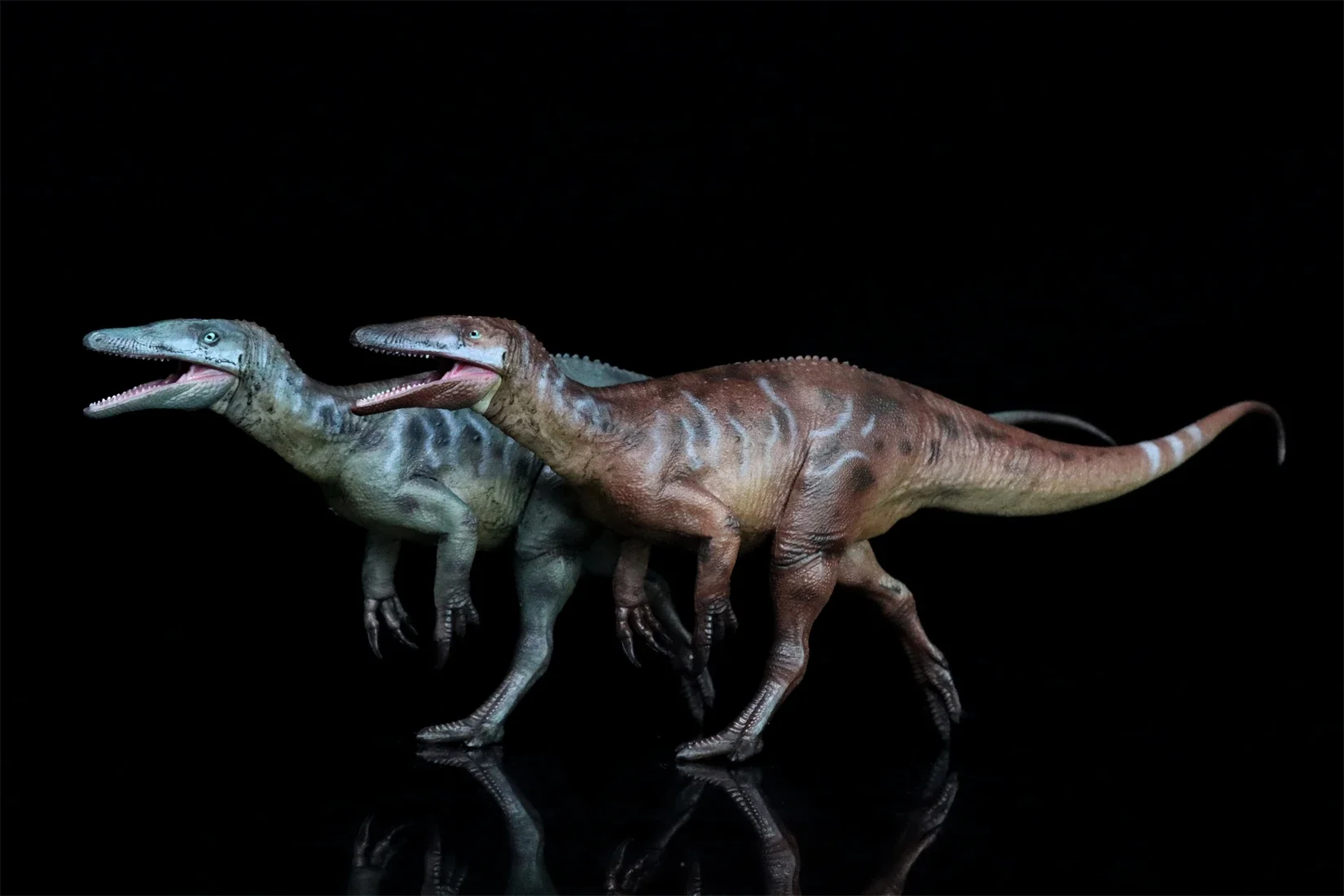 Megaraptor Vs T Rex