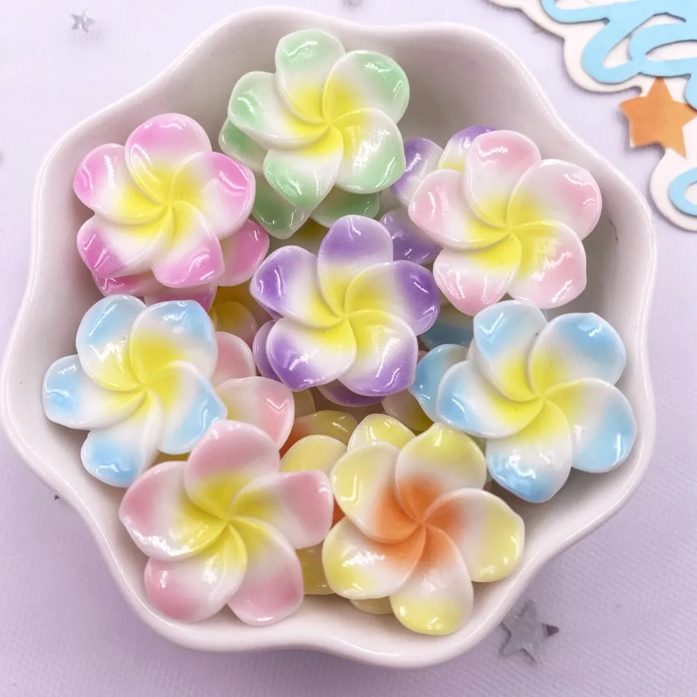 Resin-Cute-Colorful-Painted-Flower-Flat-back-Stones-Scrapbook-3D-Garden ...
