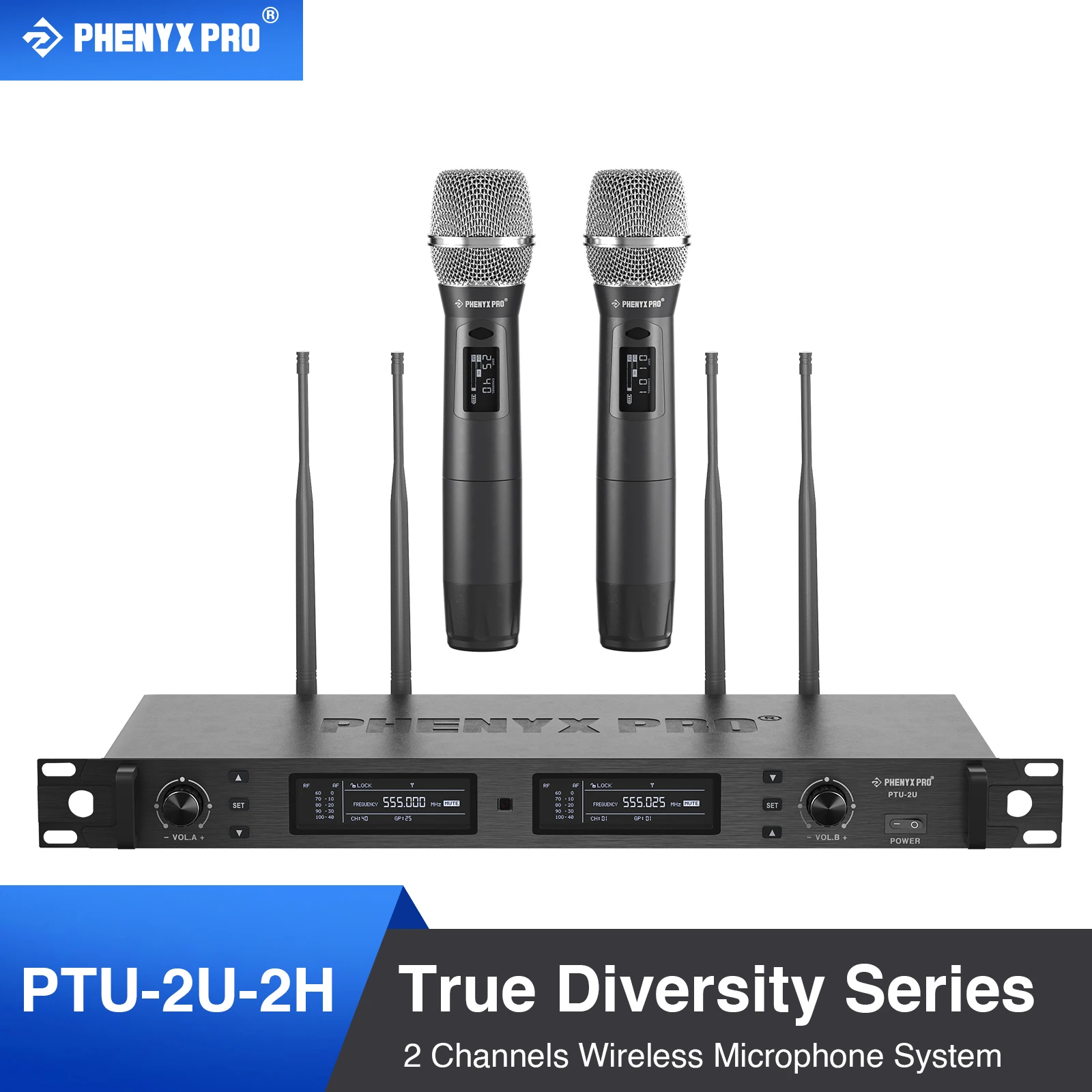 Profession-elles-drahtloses-Mikrofon-2-Kan-le-echte-Vielfalt-Dual ...