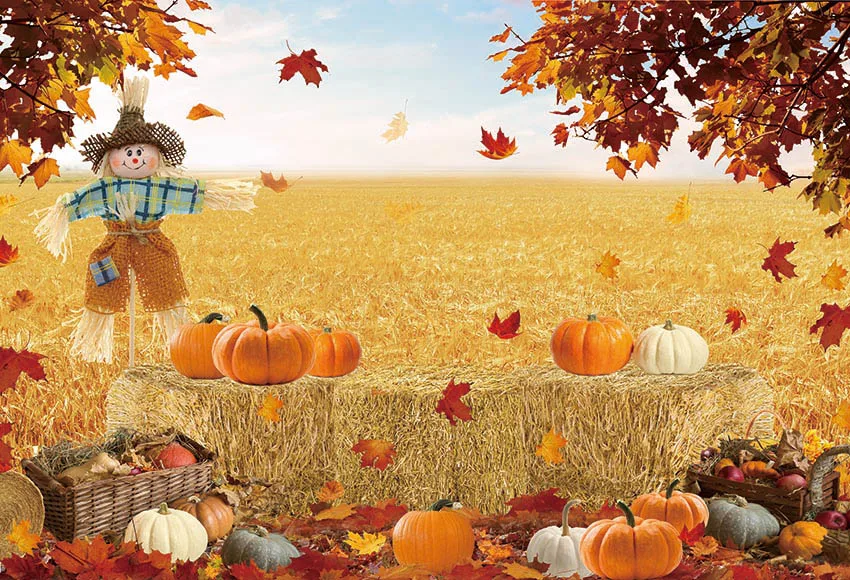 Fall Scarecrow Wallpaper