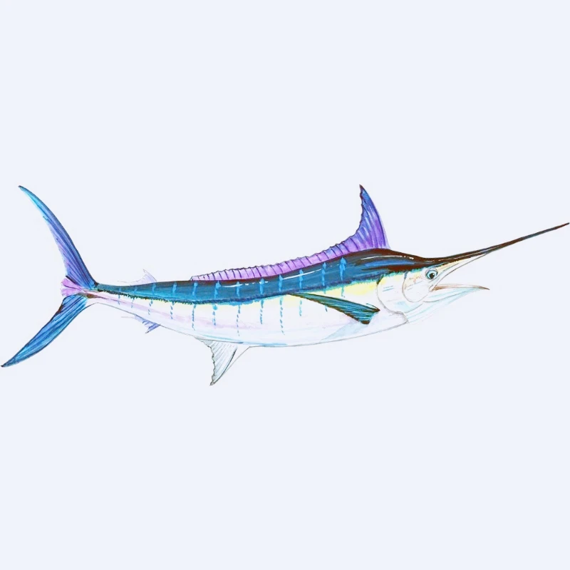 Pegatinas para coche, pez de juego Marin azul, calcomanía gráfica de ...
