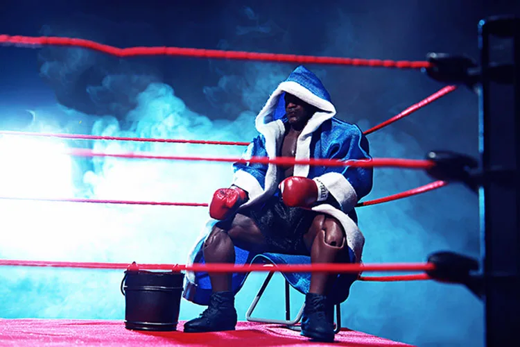 Professional Boxer Robe