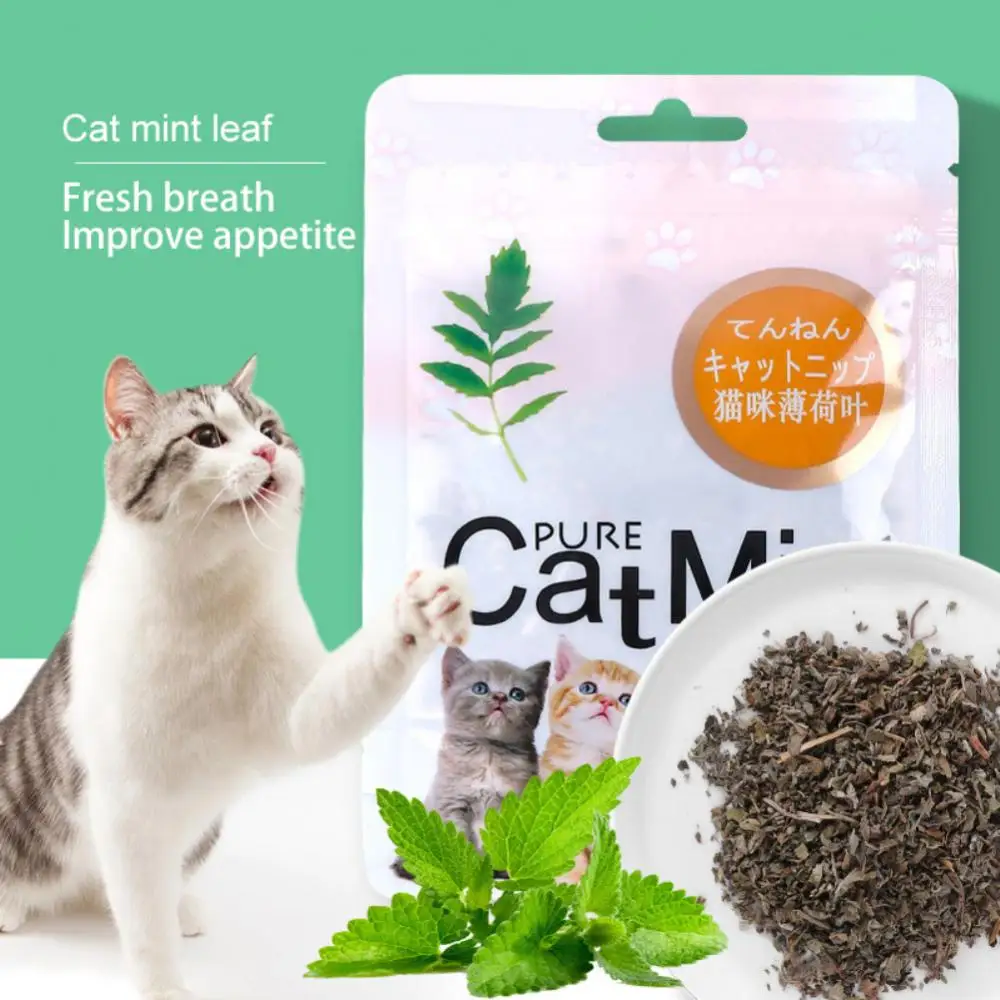 Hierba-gatera-Natural-para-gato-polvo-de-menta-gatito-boca-sabor ...