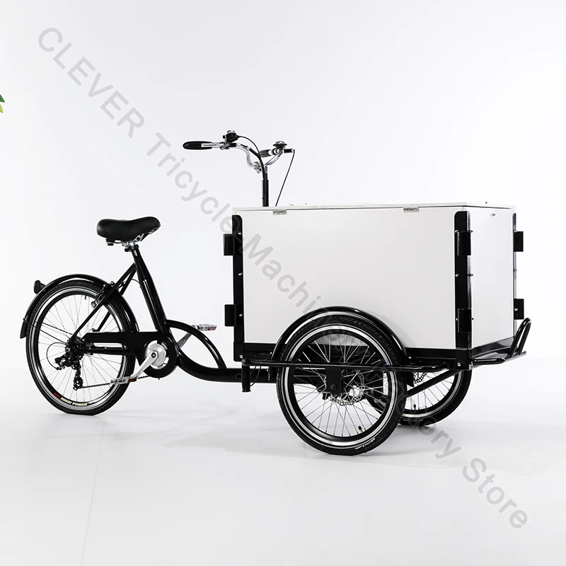 Pedal-And-Electric-Cargo-Food-Logistics-Tricycle-With-Top-Lid-3-Wheel ...