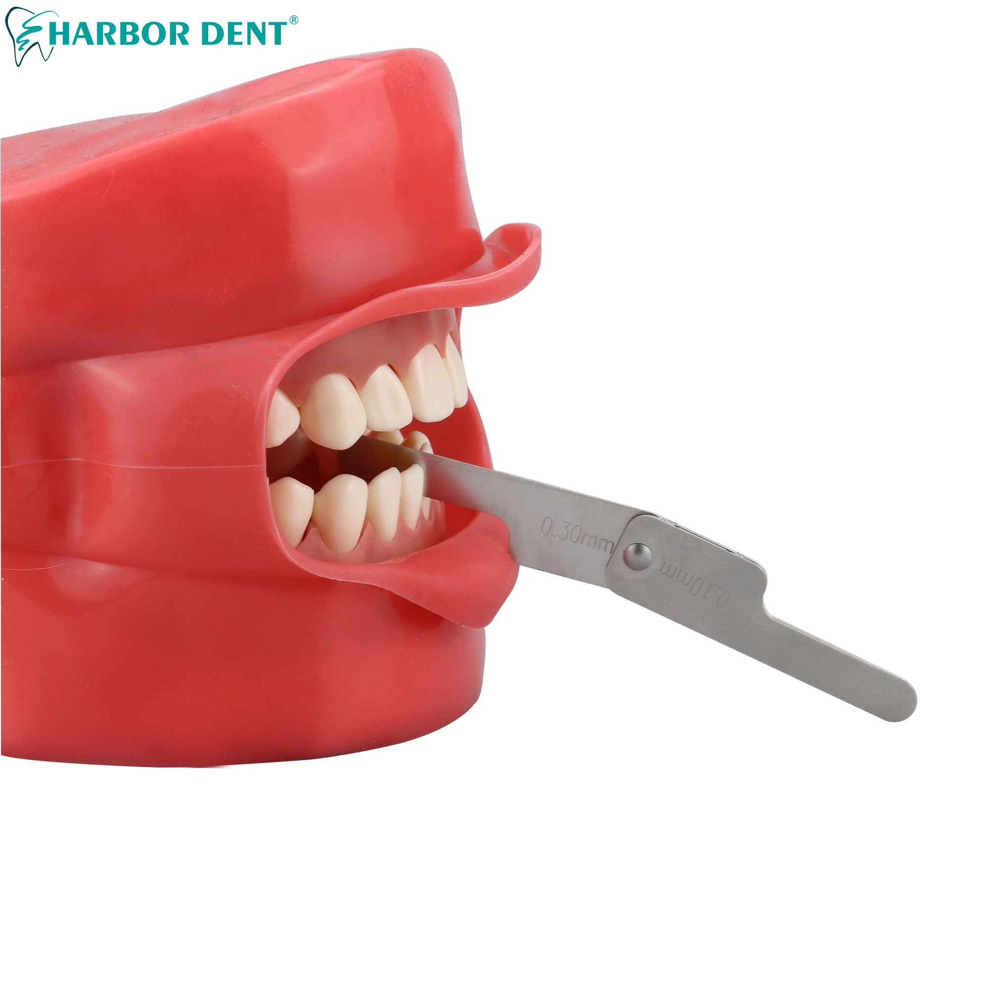 0-1-0-5mm-Dental-Interproximal-Measuring-Ruler-Measure-Tooth-Gap ...