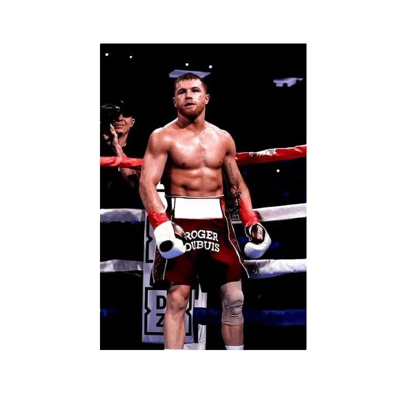 Canelo Alvarez Wallpaper