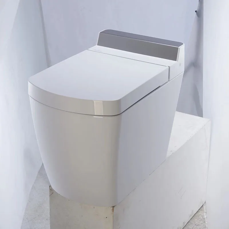 VOGO-SL650-Multifunctional-Fully-Automatic-Cleaning-High-Quality ...