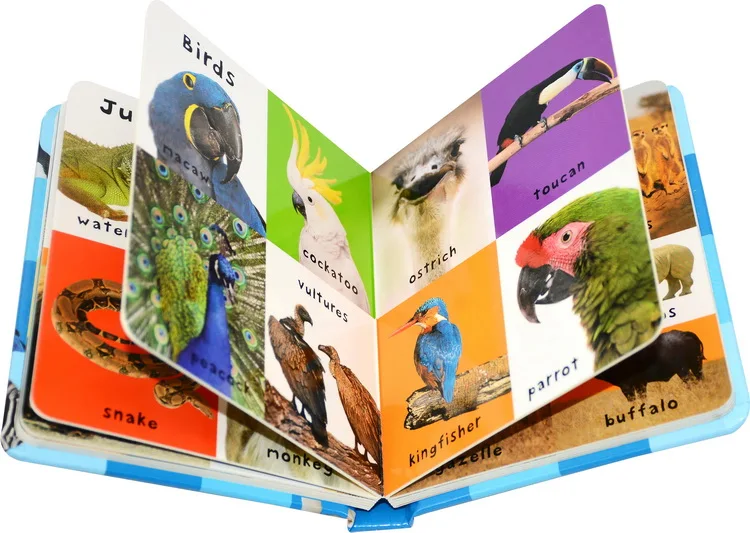 Early Education First 100 Animals Words In English, 55% OFF