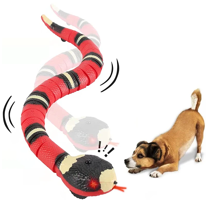 Snake Toy Dog | canoeracing.org.uk