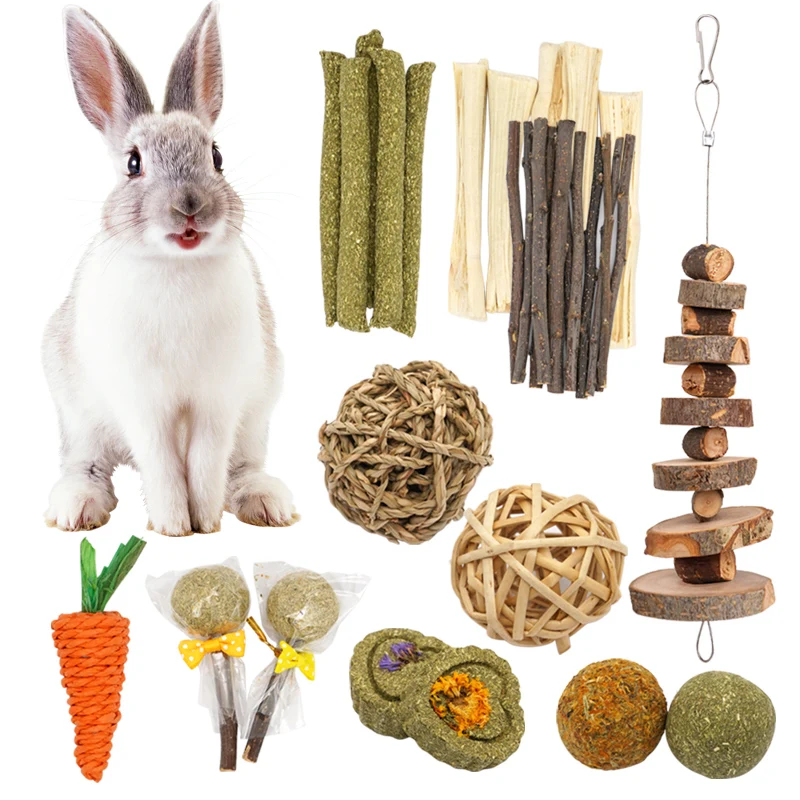 1Set-31pcs-Small-Animal-Chew-Toys-Natural-Food-Apple-Wood-Sticks-For ...