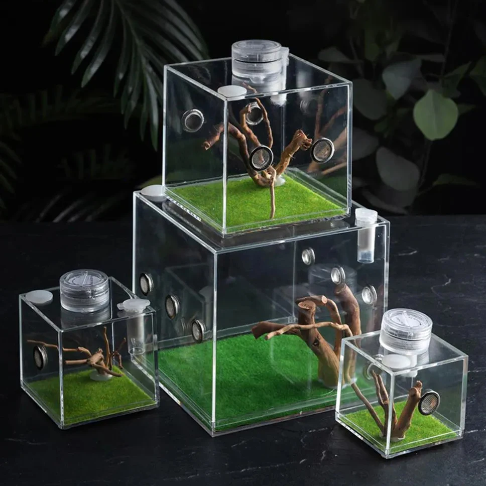 Pet-Spider-Insect-Acrylic-Breeding-Box-Mantis-Grasshopper-Reptile ...