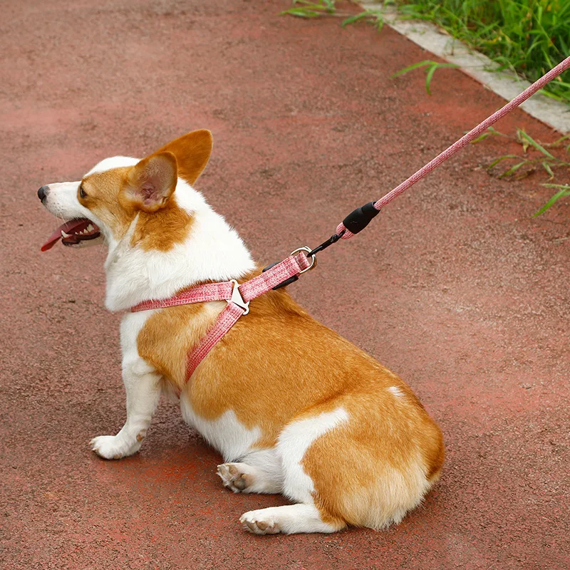 Dog Rope Retractable Dog Traction Rope Chest Back Dog Chain Dog Strap ...