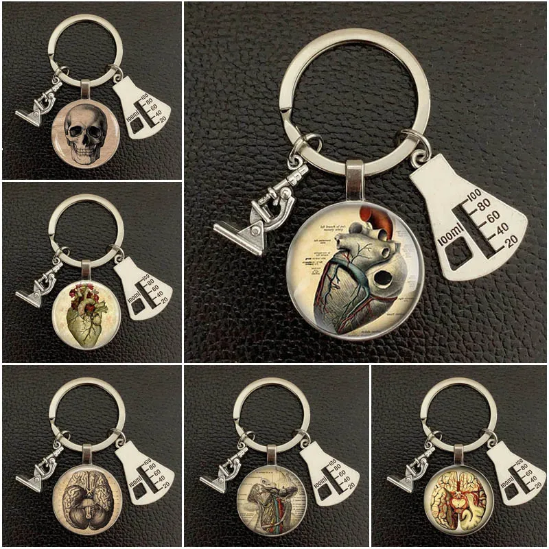 Anatomy-Heart-Pendant-Keychain-Biologist-Doctor-Research-Human-Brain ...