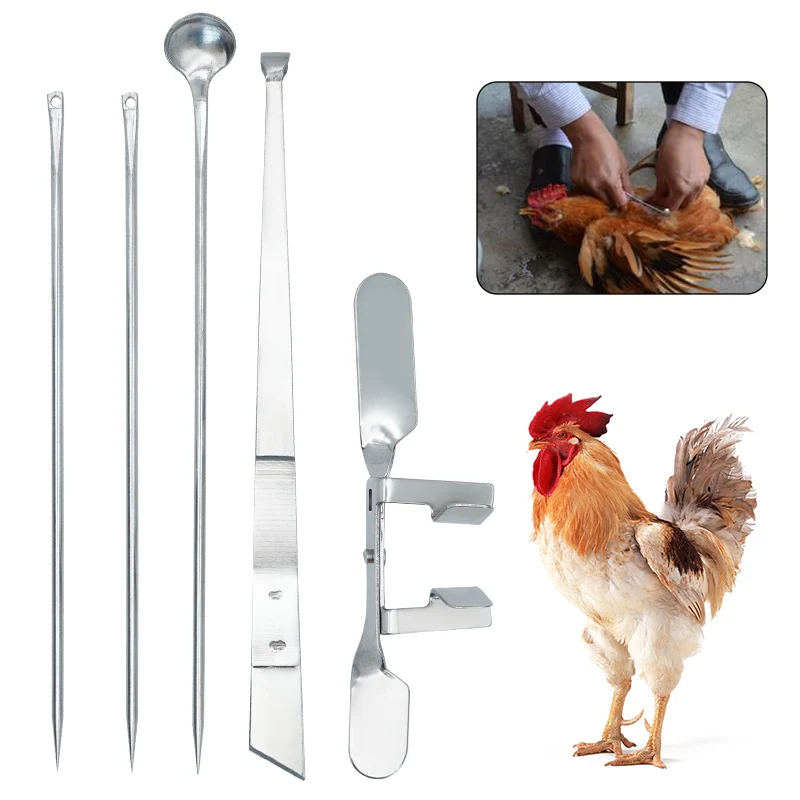 1Set-Chicken-Castratioin-Capon-Kit-Tools-Cock-Rooster-Caponizing ...