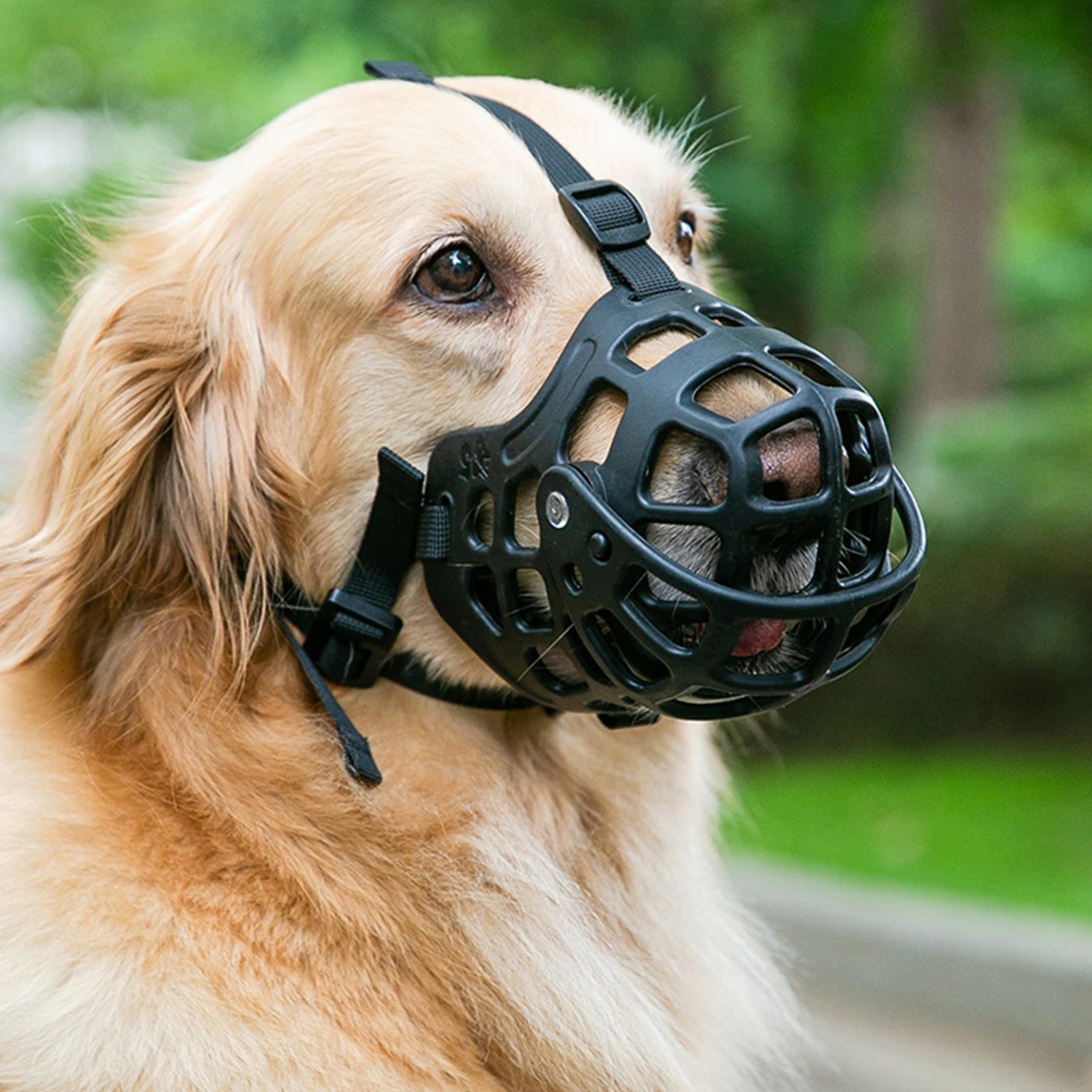Can A Dog Eat With A Muzzle On