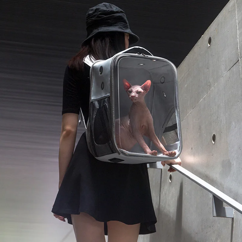 Transparent-Cat-Carrier-Bag-Foldable-Cat-Carry-Backpack-Breathable ...