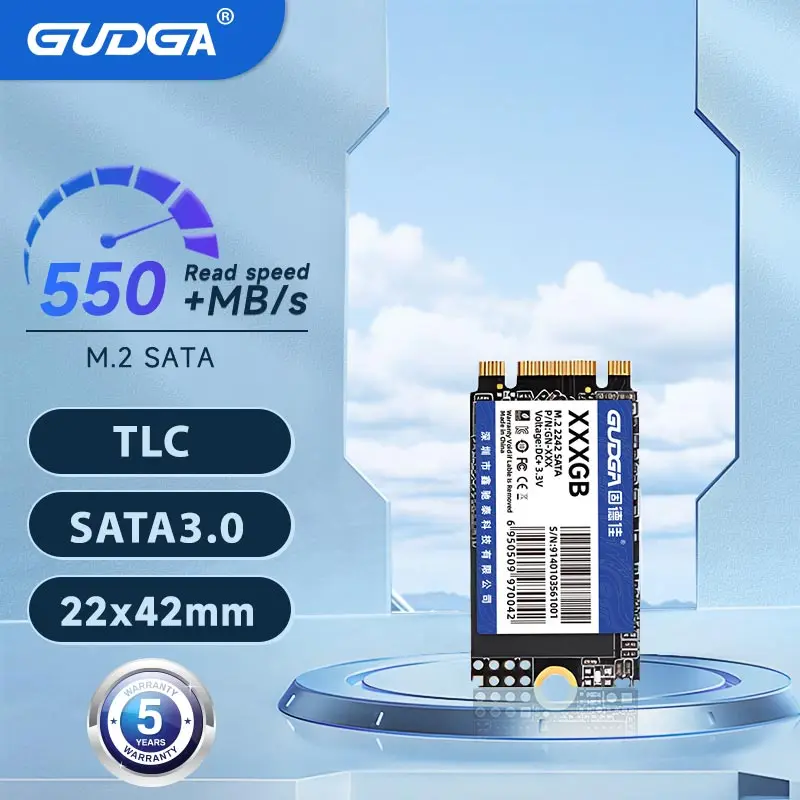 GUDGA-SSD-2242-M2-NGFF-SATA-SSD-1TB-128GB-512GB-SSD-m2-ssd-2242-drive ...