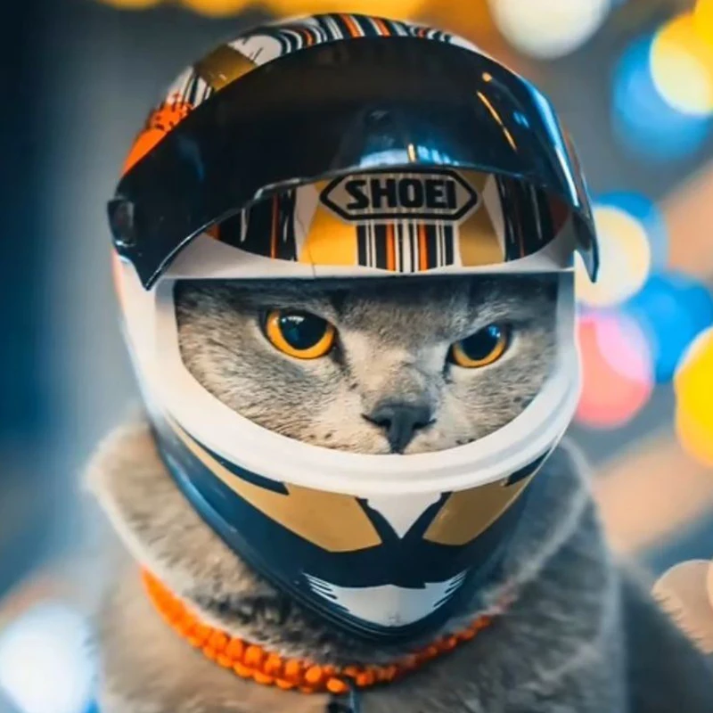 Animal Motorcycle Helmet