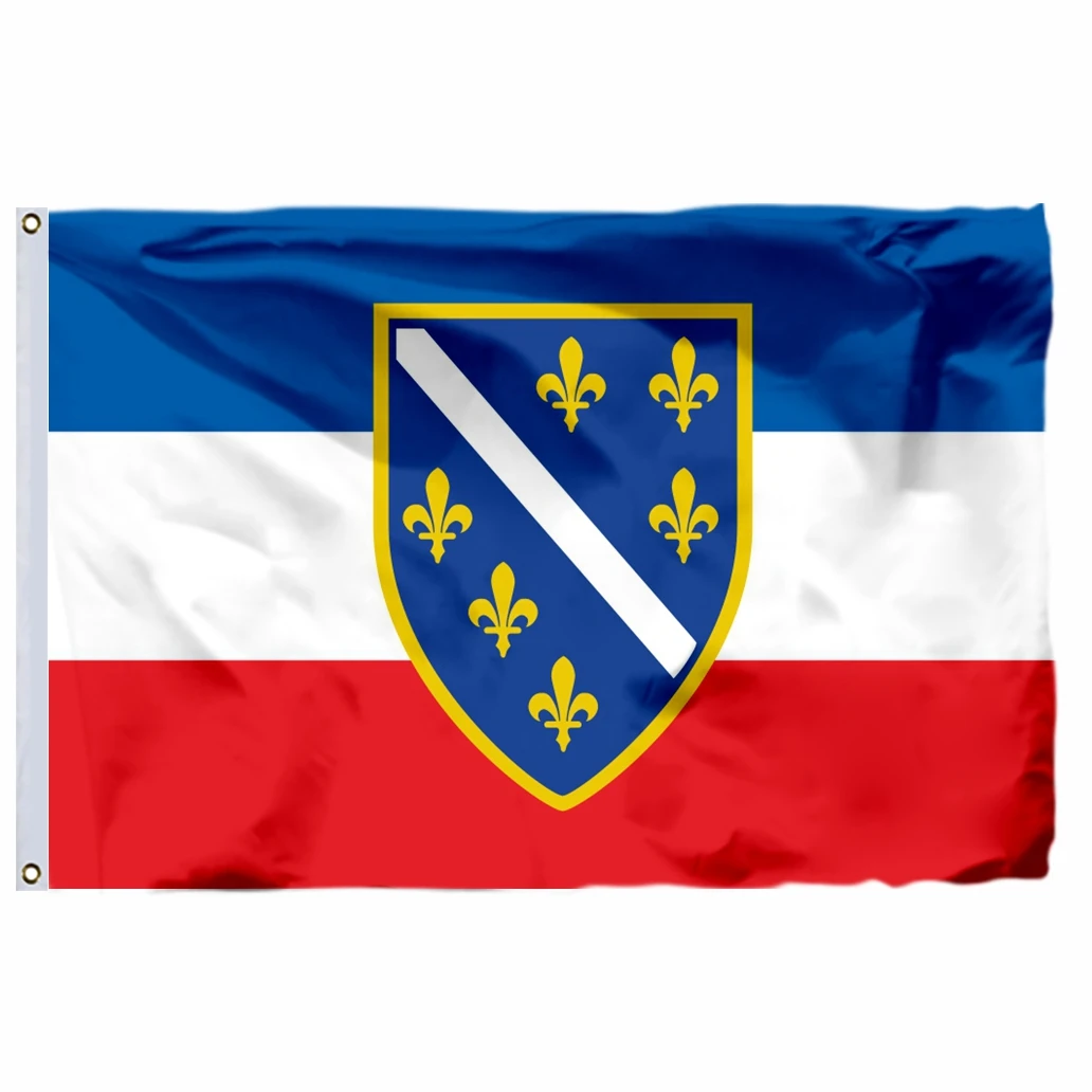Bosnian Flag