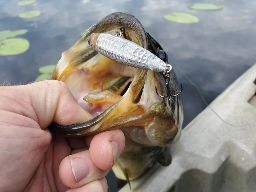 D1-Snake-Popper-KCR-Fishing-Lure-100mm-140mm-9-5-26g-Floating-Surface ...