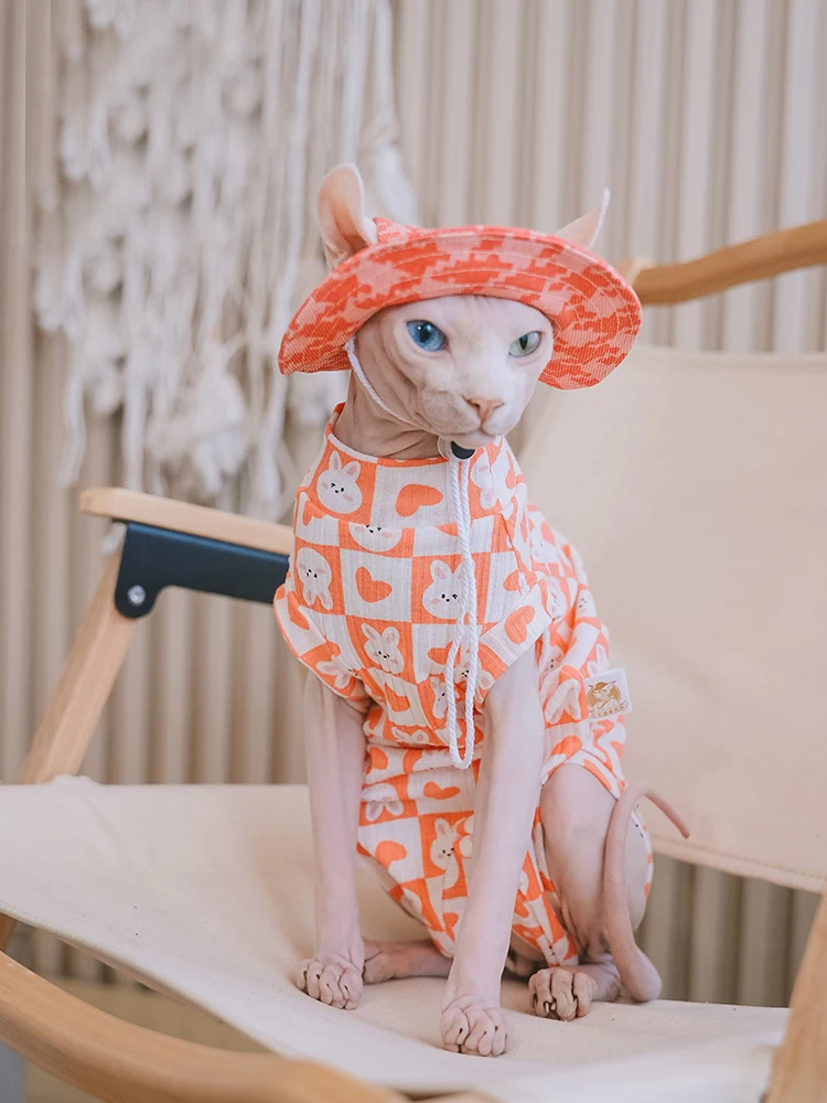 Cats-Clothing-Spring-Cotton-Shirt-for-Sphynx-Female-Cat-Short-Sleeves ...