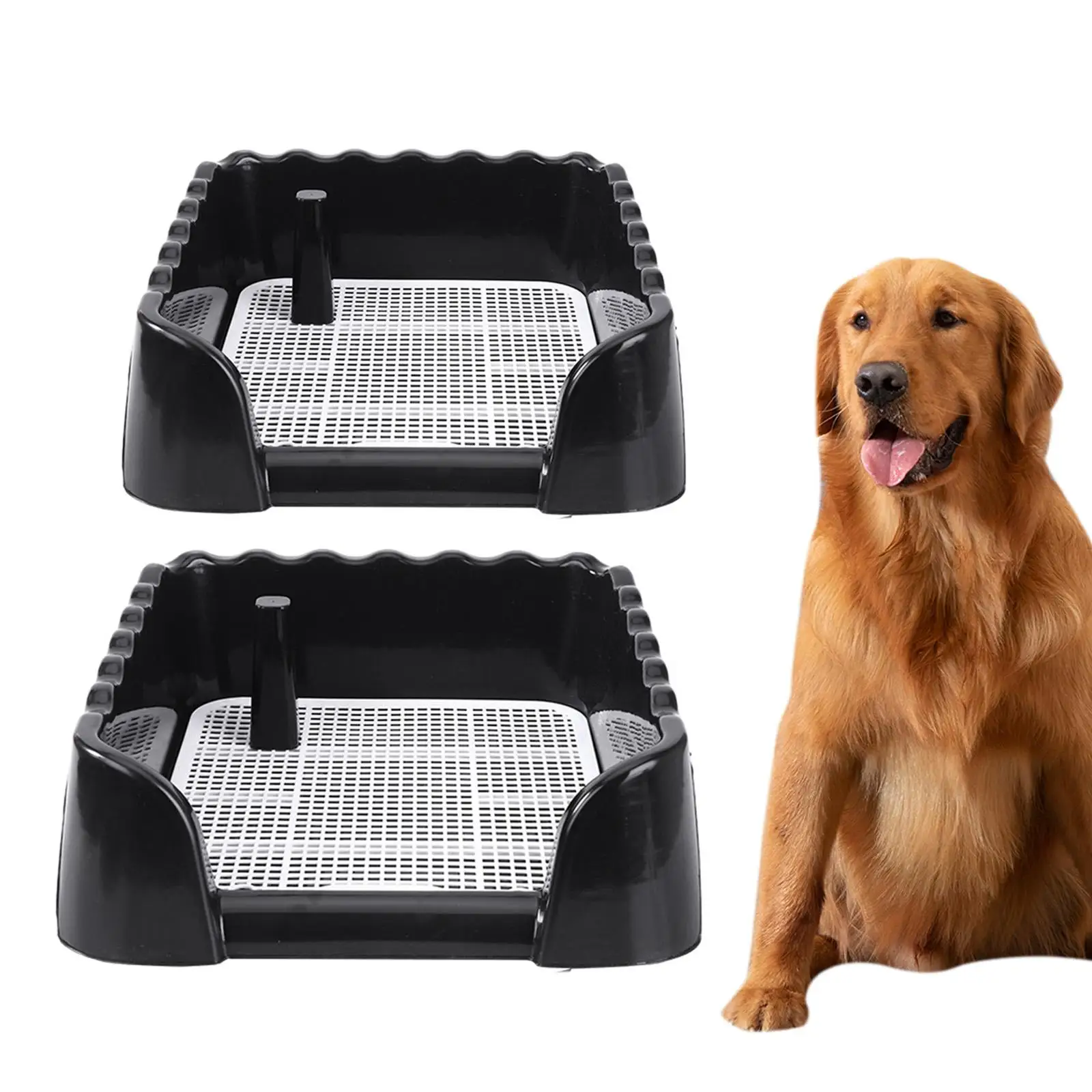 Animal Trainer Potty