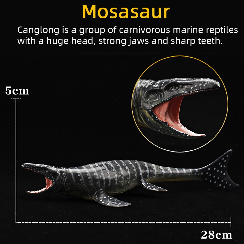 Plesiosaur Size Comparison