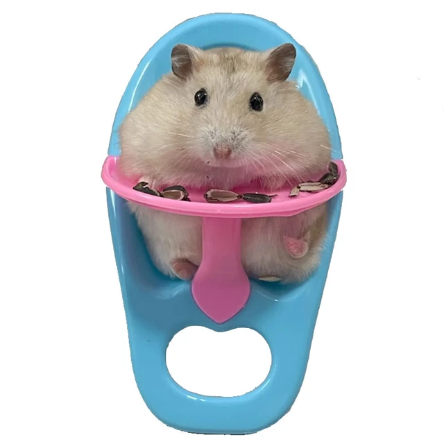 Cute Teddy Bear Hamsters Eating