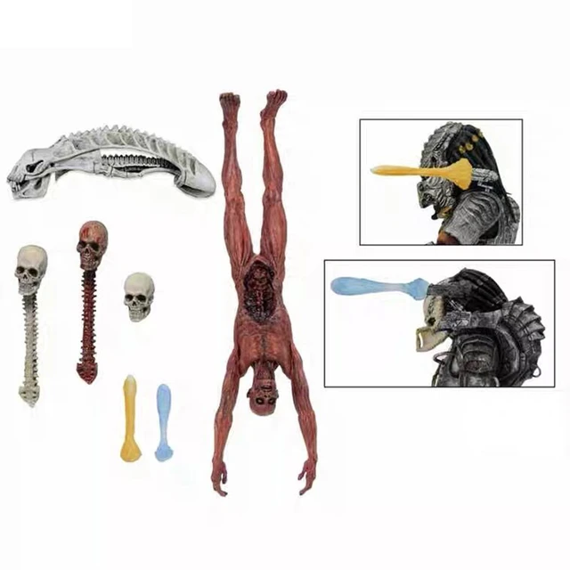 Alien Vs Predator Predator Body