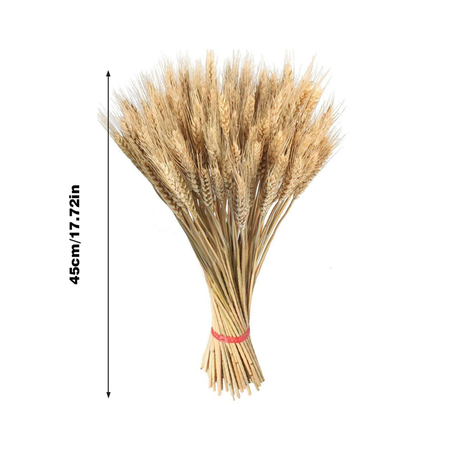 Wheat Stalks Bundle