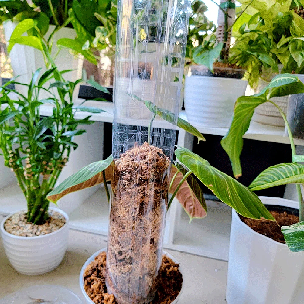 4Db/Set Műanyag Növényi Tartó Pálca Mohamos Pólus Cserepes Botkerti ...