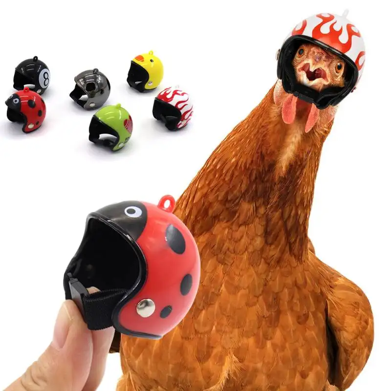 Funny-Chicken-Helmet-Bird-Protect-Cap-Sun-Chuva-Prote-o-Capacete-DIY ...