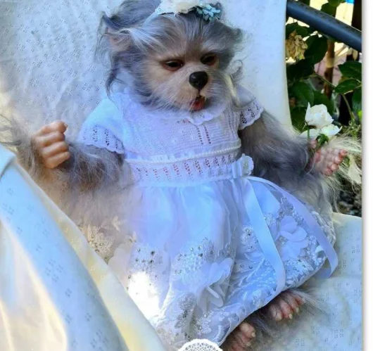 FBBD-18inch-Reborn-Doll-Kit-Lula-Kane-The-Hybrid-Fairy-Elf-unfinished ...