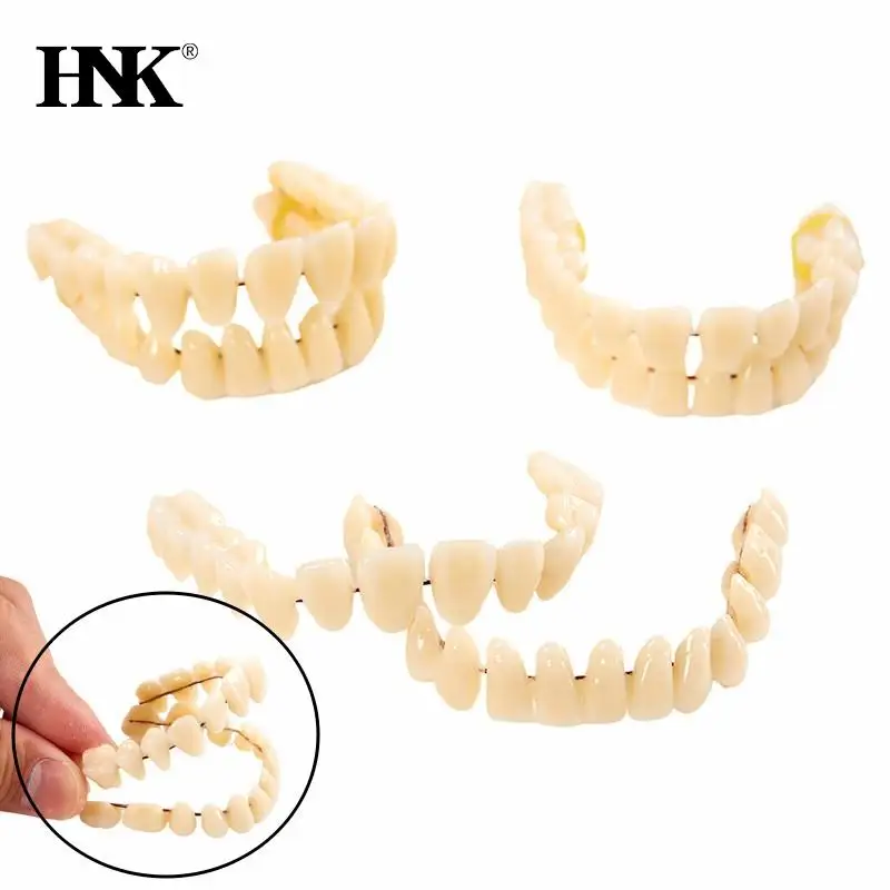 A2(#22,#23,#24) Modelo de dientes postizos de resina, Material Dental ...