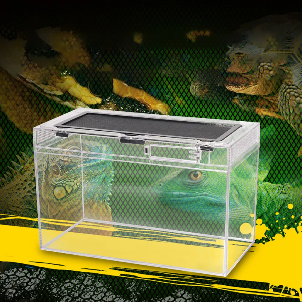 Reptile-Feeding-Box-Transparent-Acrylic-Reptile-Terrarium-Enclosure-For ...
