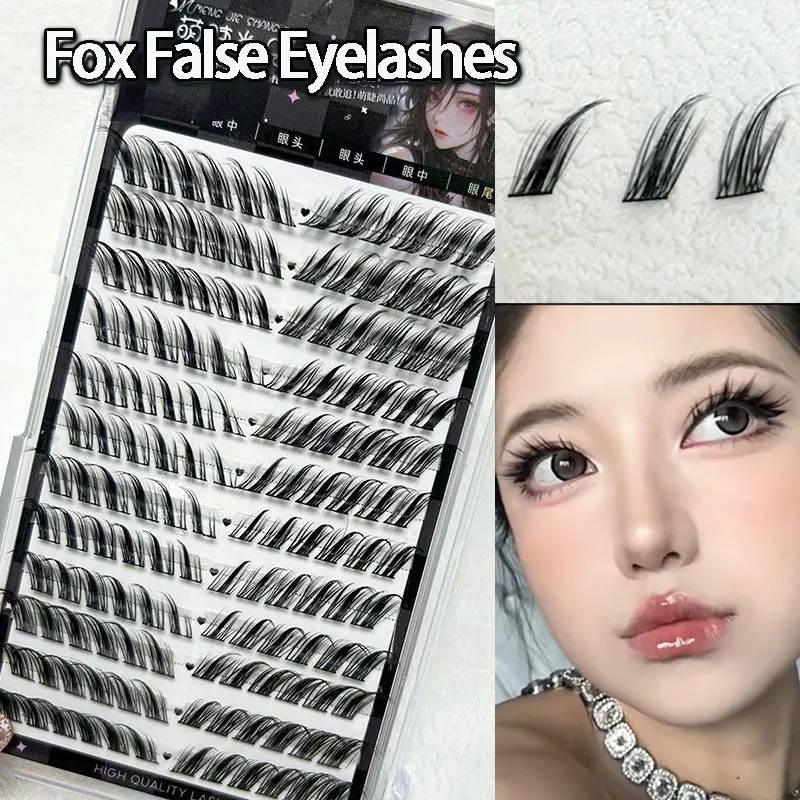 12Rows-Fox-False-Eyelashes-Single-Cluster-Eyelash-Extension-Segmented ...