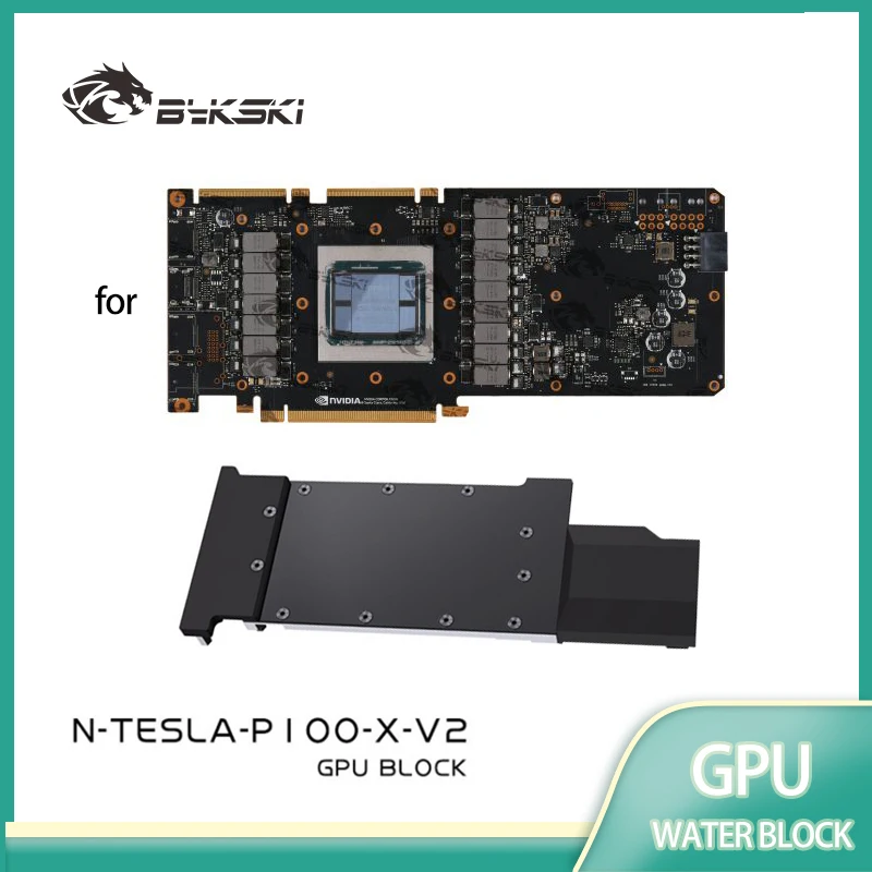 Bykski GPU Block for NVIDIA TESLA P100 Video Card Water Cooling/All ...