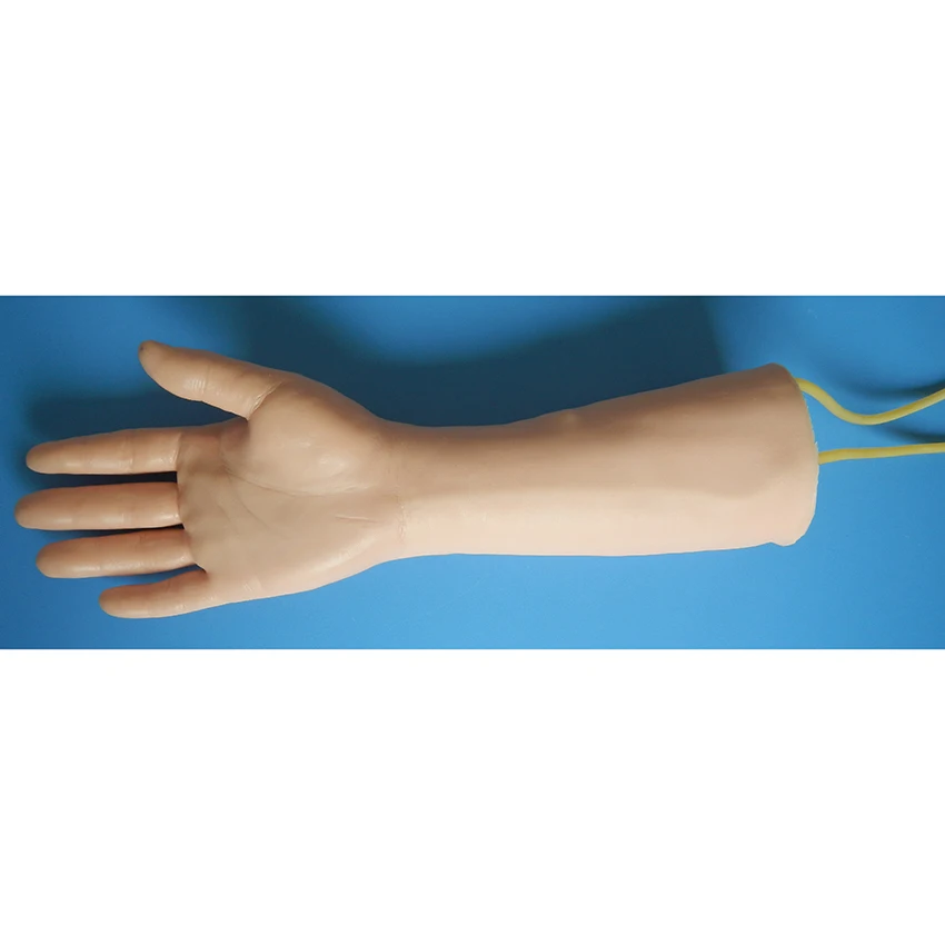 Venipuncture Simulator, Iv Injection Training Hand Model - Medical ...