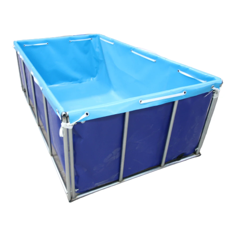 The Ultimate Guide to Artificial Fish Nursery Tanks for Small-Scale ...