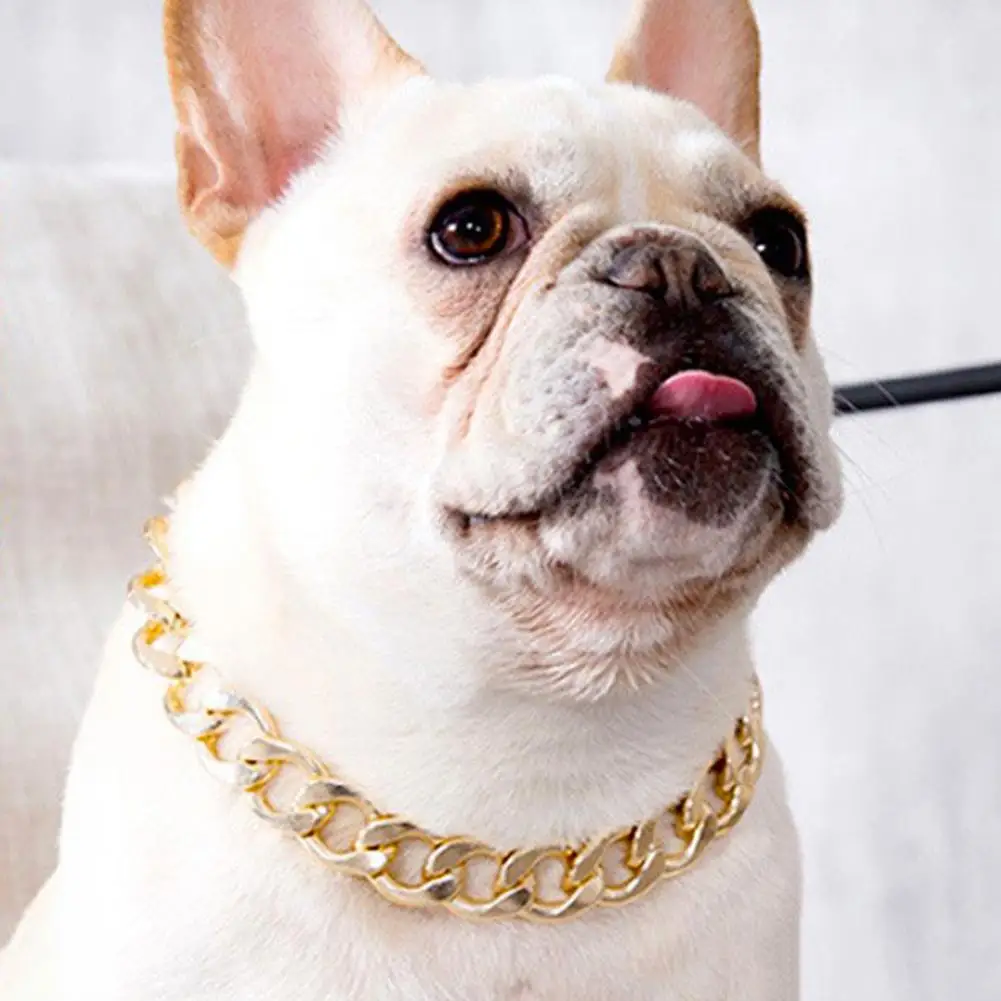 Pet-Dog-French-Bulldog-Collar-Adjustable-Fashion-Necklace-Chain-Neck ...