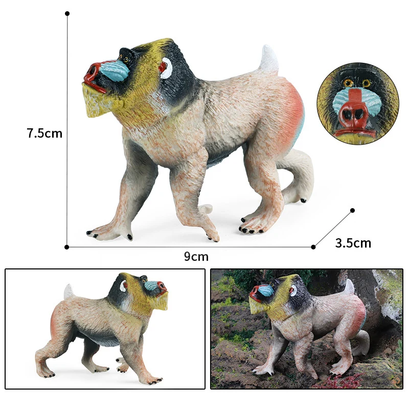 Mandrill Baboon Hybrid