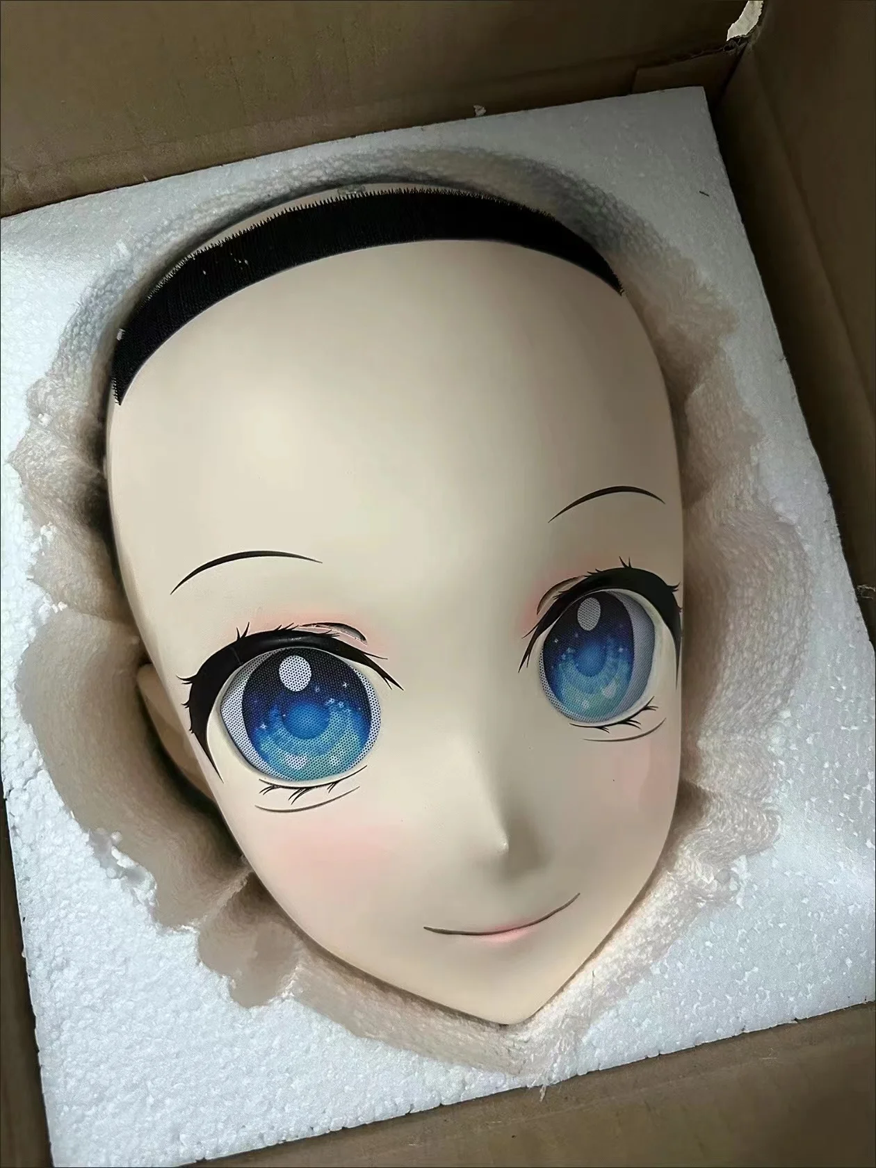 Se79f84c5b43e4a819de849f3a664b6093.jpg
